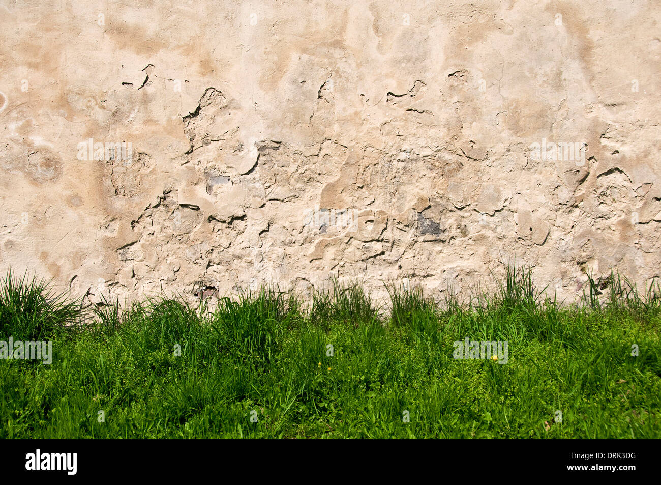 Distressed wall hi-res stock photography and images - Alamy
