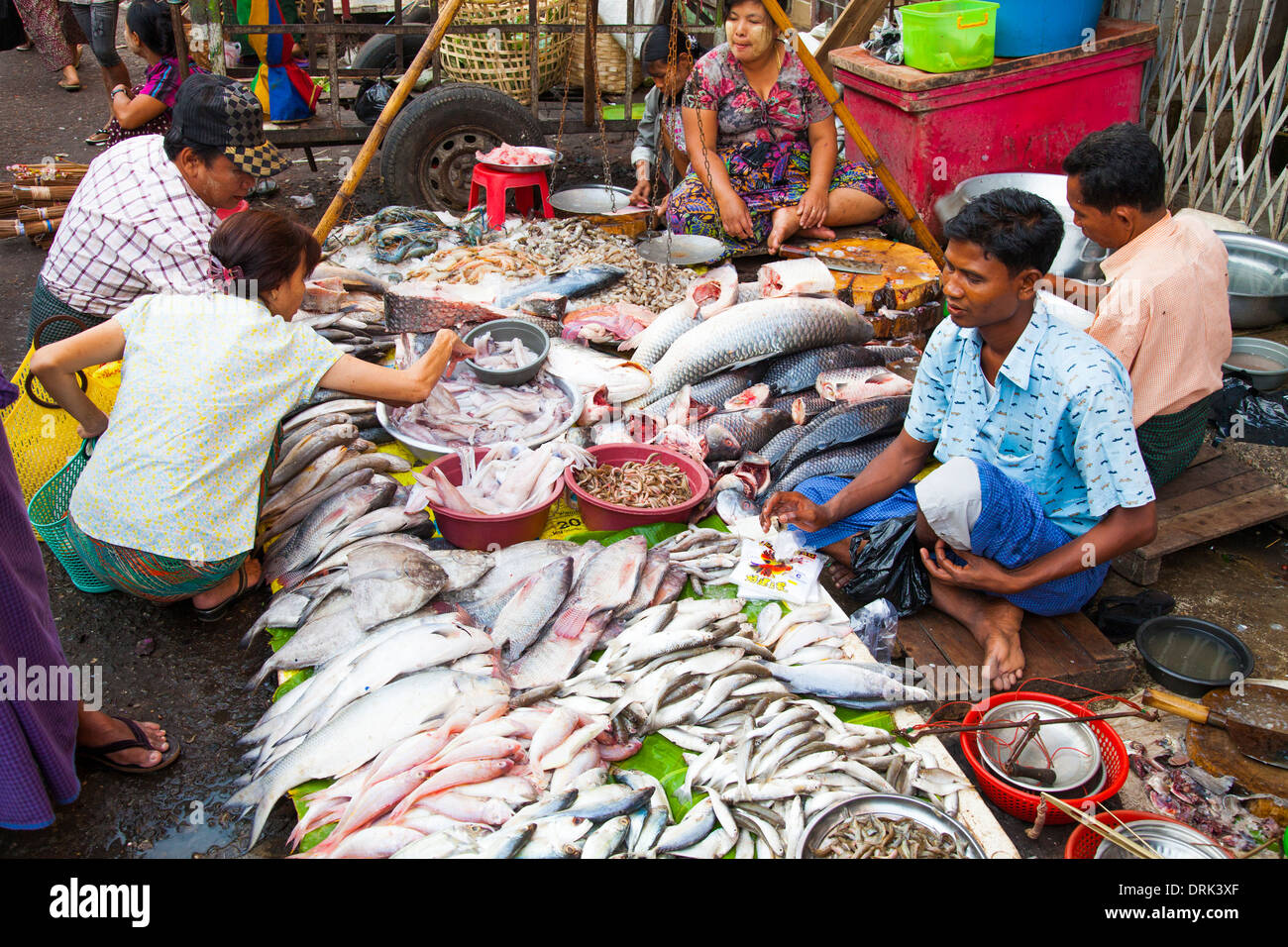 Fish in a market in Yangon, Myanmar Stock Photo - Alamy