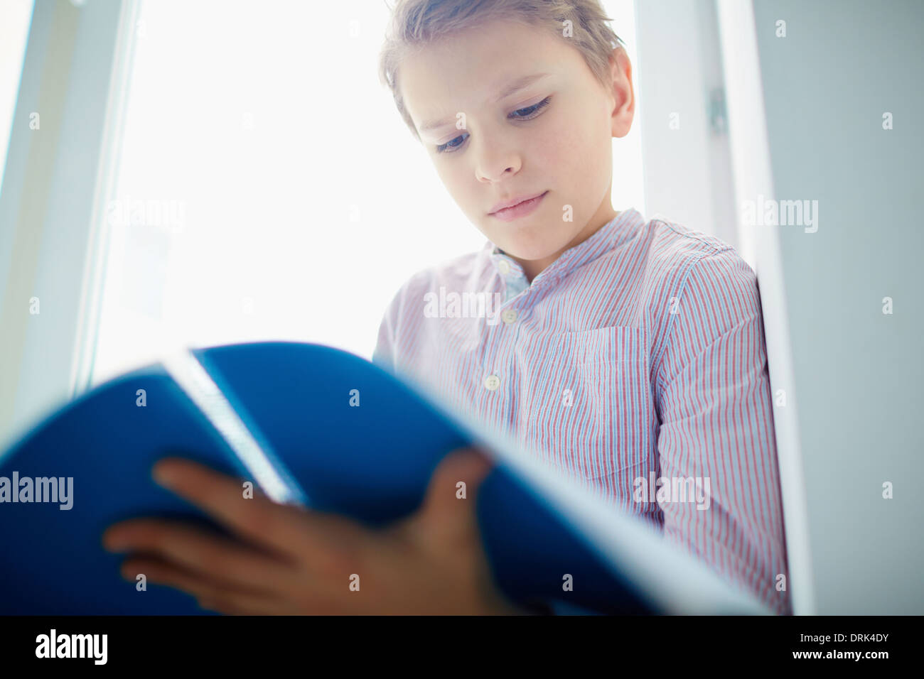 Portrait of handsome schoolboy reading notes in exercise book Stock ...