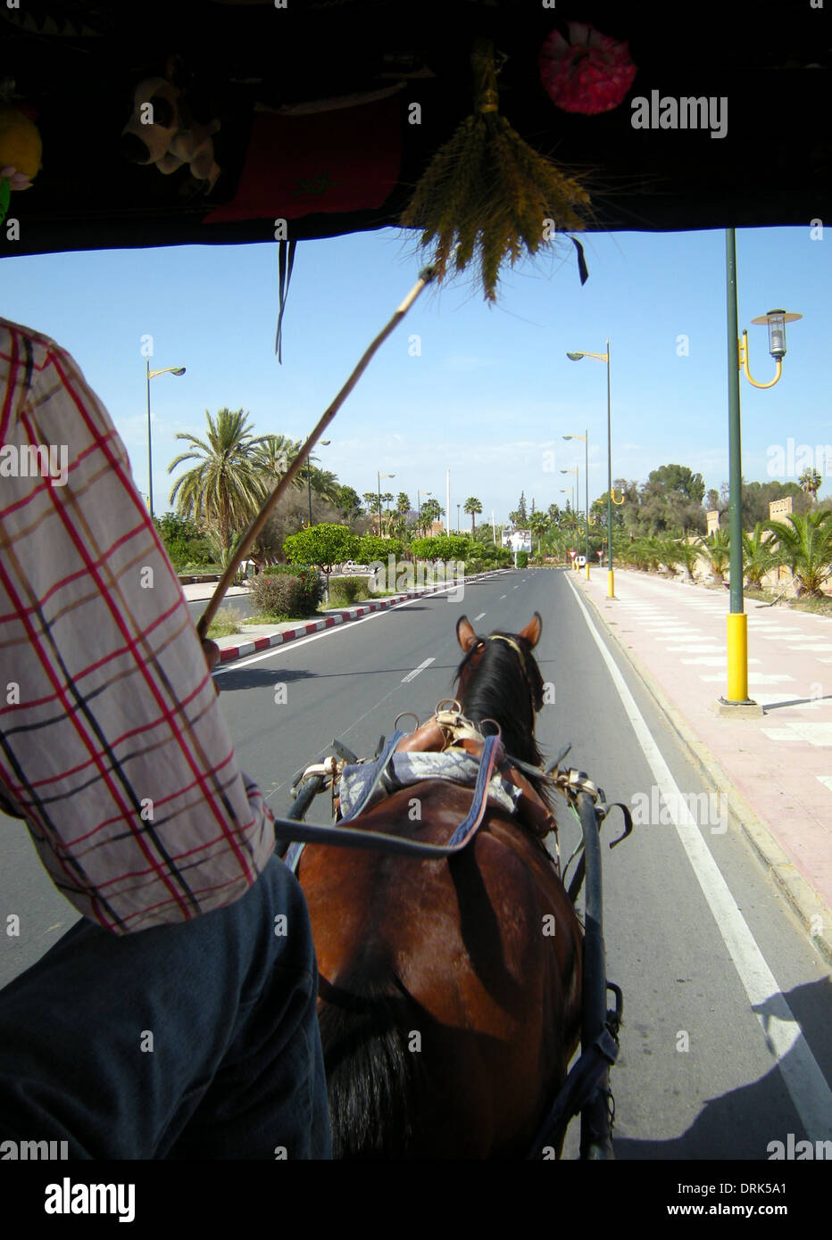 Road caleche hi-res stock photography and images - Alamy