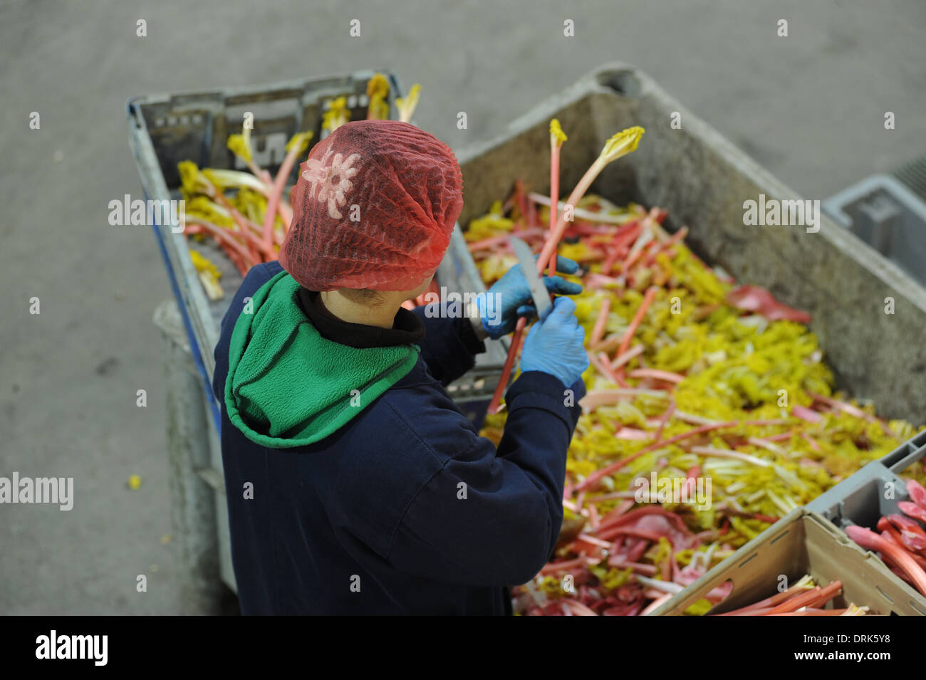 Yorkshire rhubarb triangle hi-res stock photography and images - Alamy