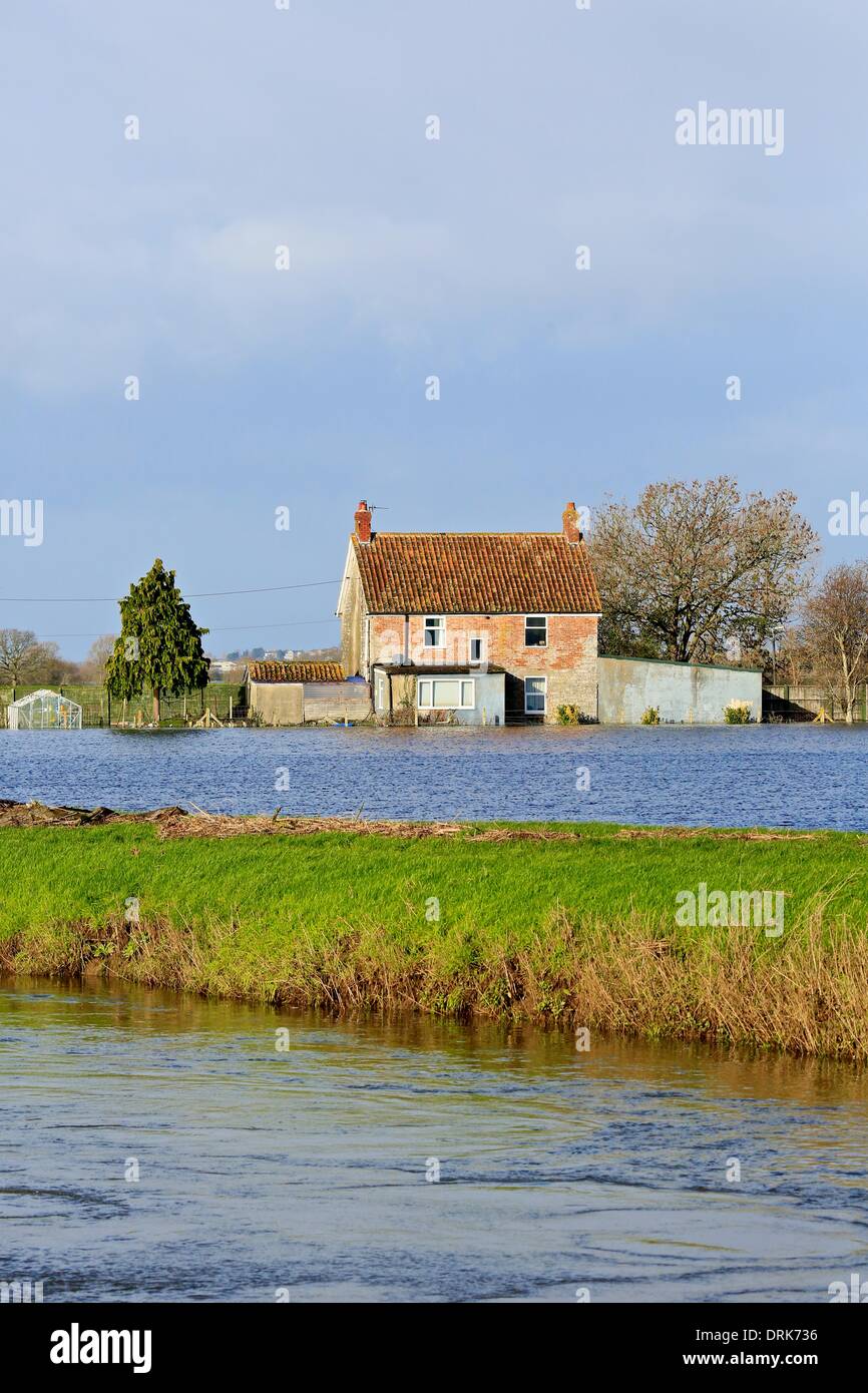 Long Load, Somerset Levels, Somerset, UK. 28th January 2014. Houses and ...