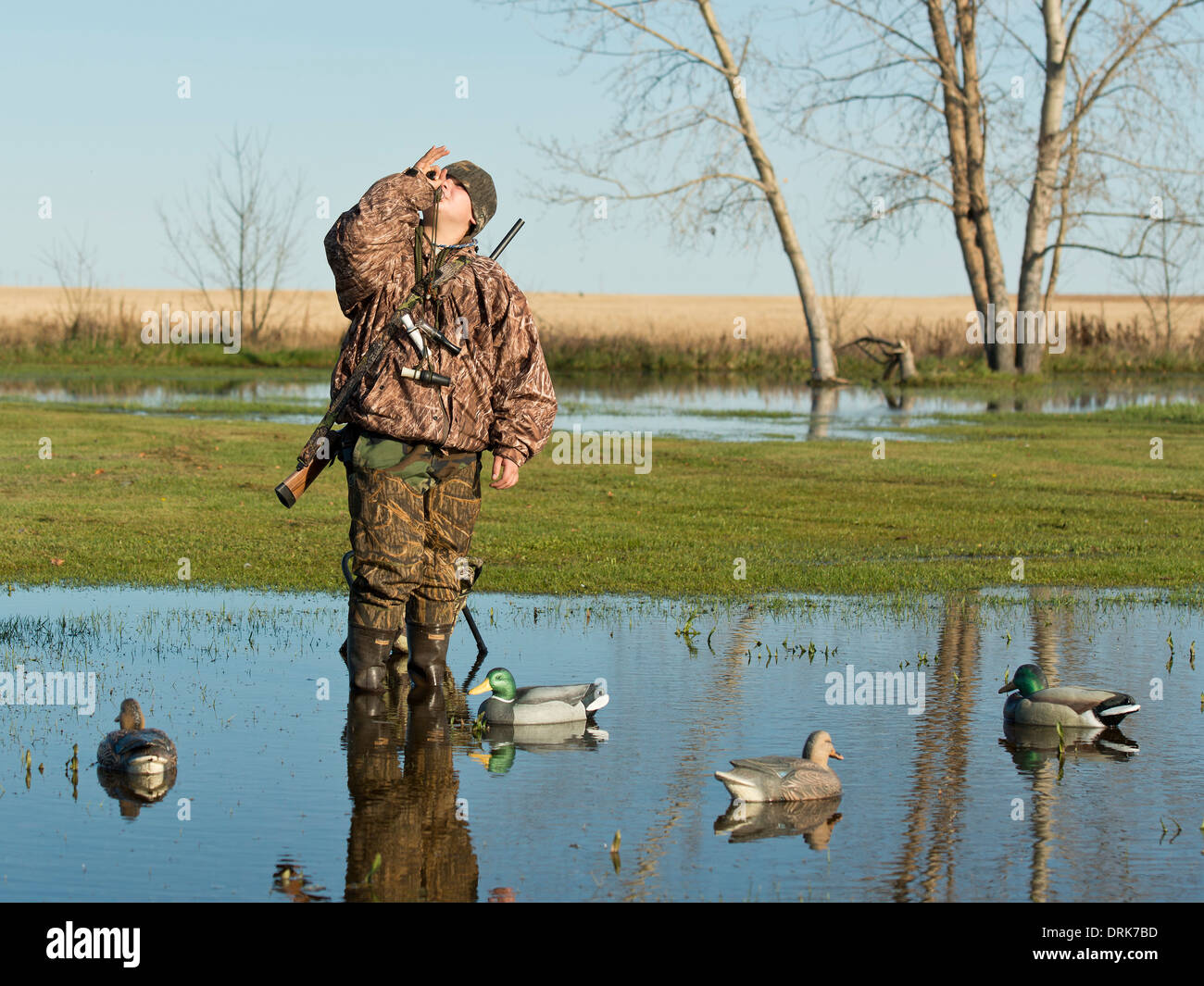 A waiting young duck hunter Stock Photo - Alamy