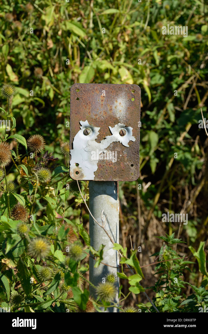 Plate destroyed hi-res stock photography and images - Alamy