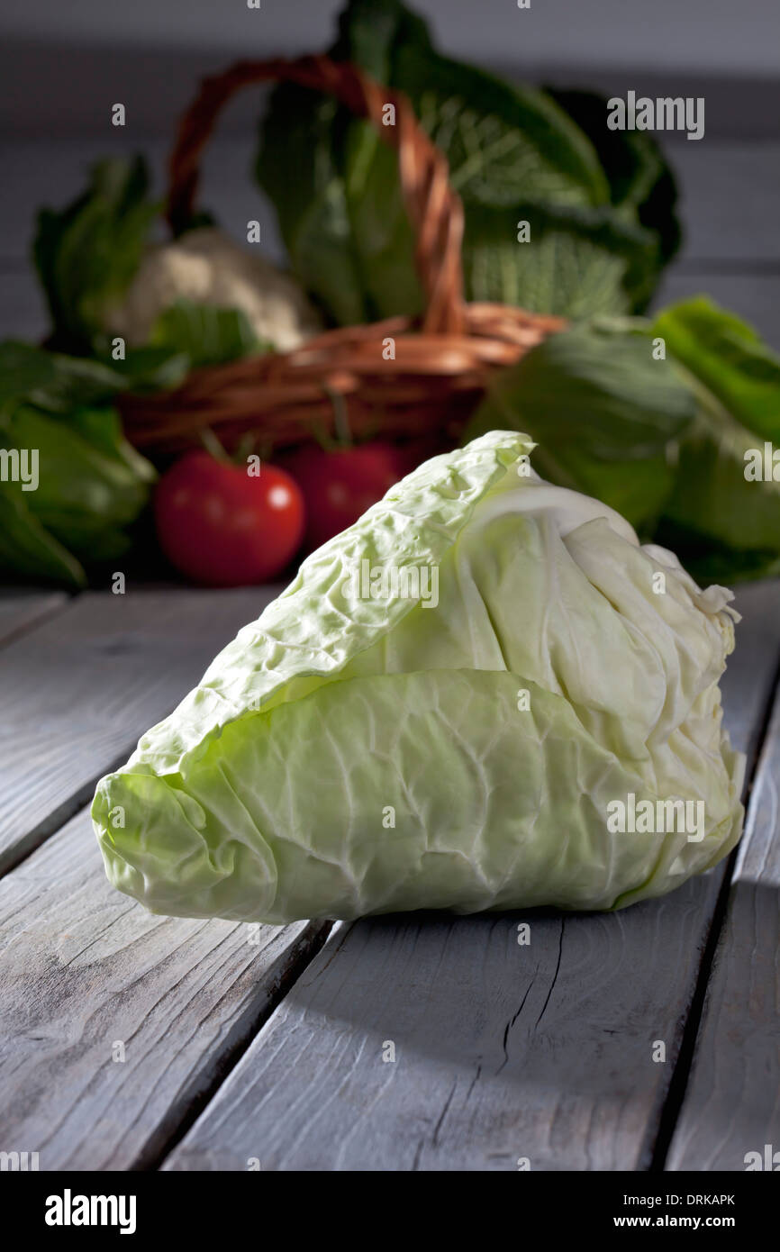 Pointed cabbage (Brassica oleracea var. capitata for. alba subv. conica ...