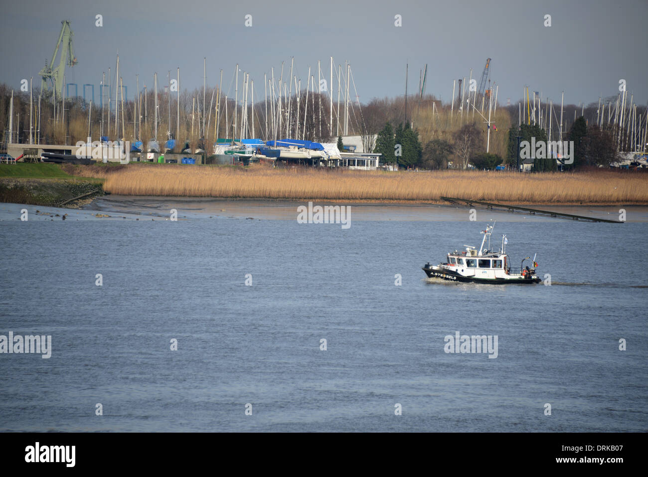 The river Schelde in Antwerp Stock Photo - Alamy