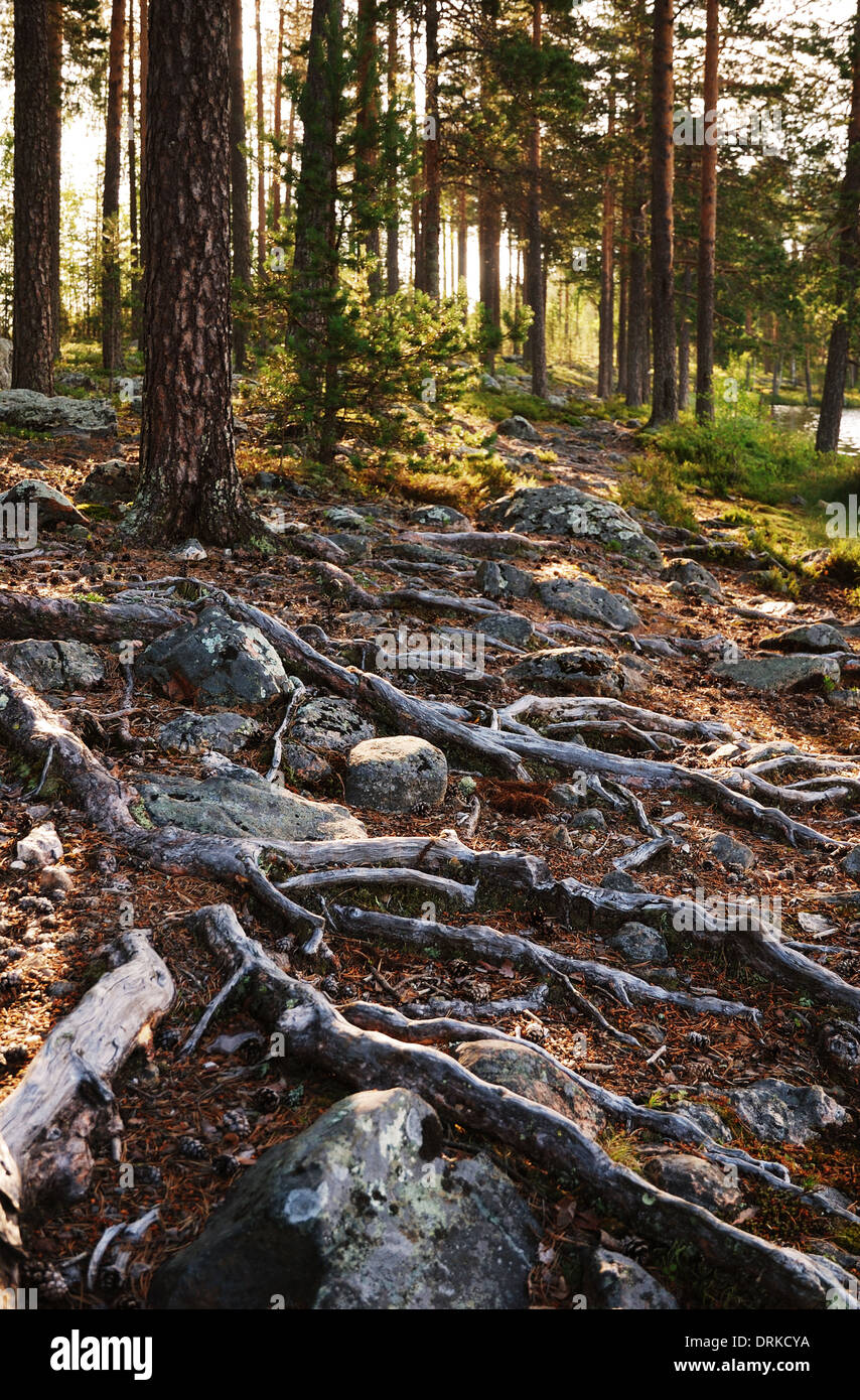 Thick soil hi-res stock photography and images - Alamy