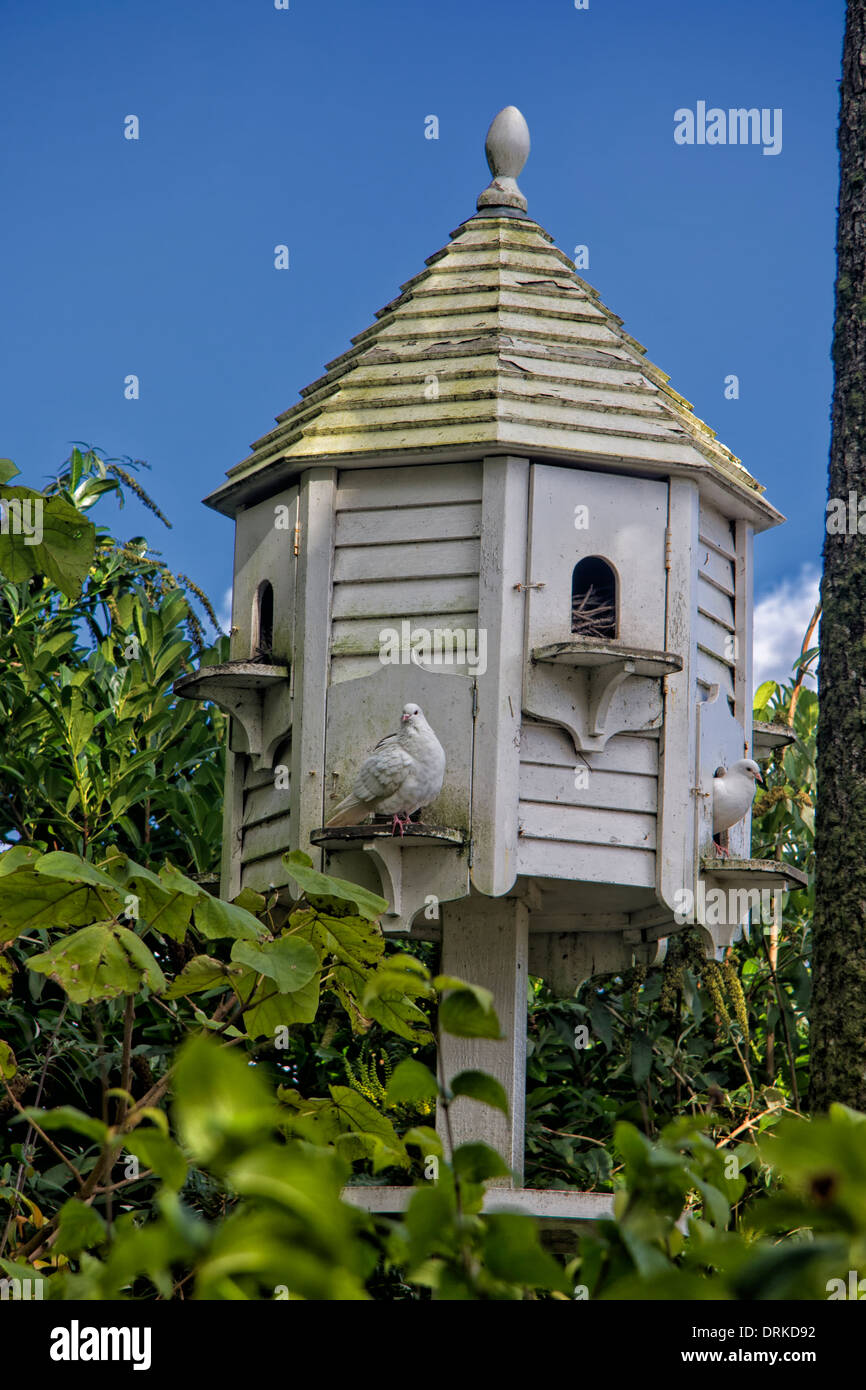 Doves at dovecote hi-res stock photography and images - Alamy