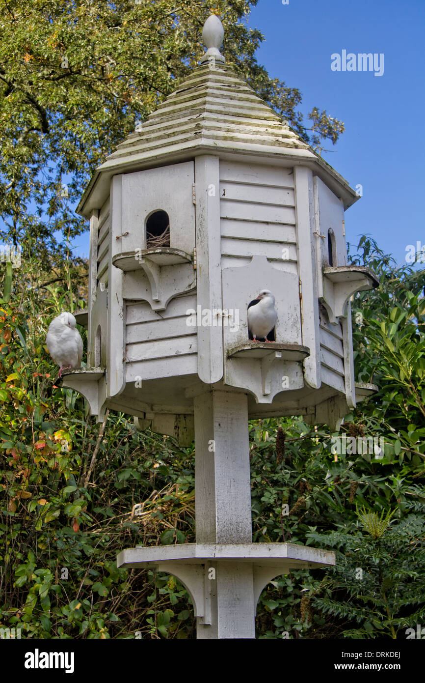 Dovecote uk doves hi-res stock photography and images - Alamy