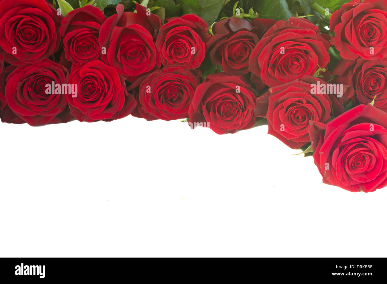 border of fresh red roses Stock Photo - Alamy
