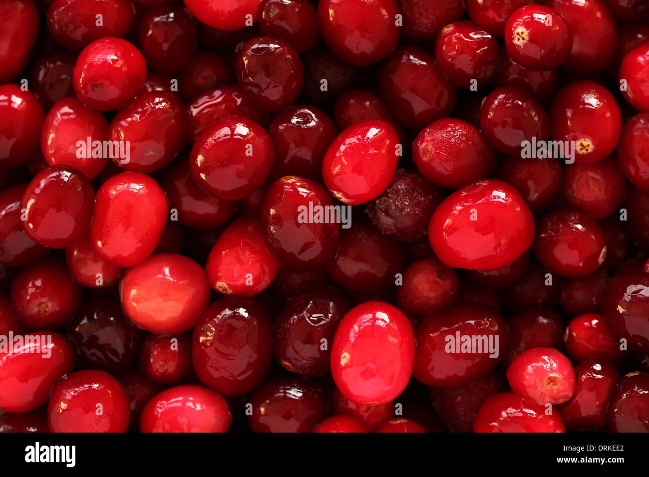 Cranberry texture hi-res stock photography and images - Alamy