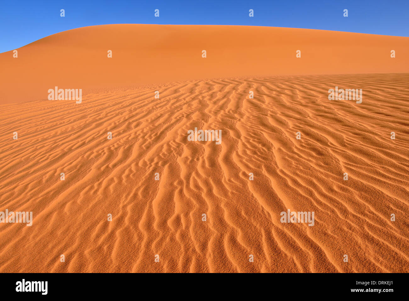 North Africa, Algeria, Sahara, sand ripples, texture on a sand dune ...