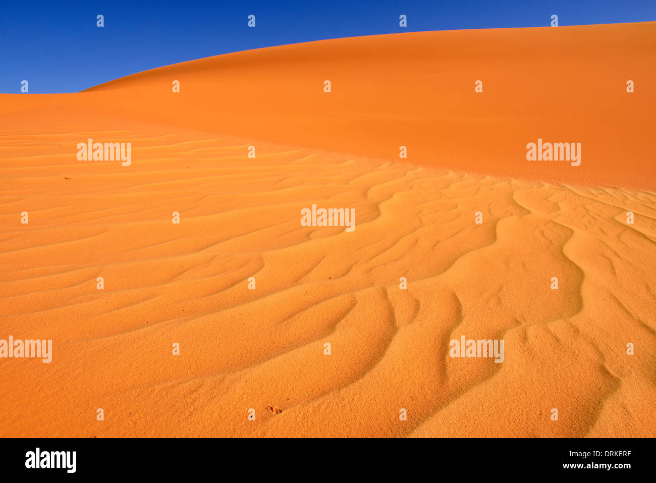 North Africa, Algeria, Sahara, sand ripples, texture on a sand dune ...