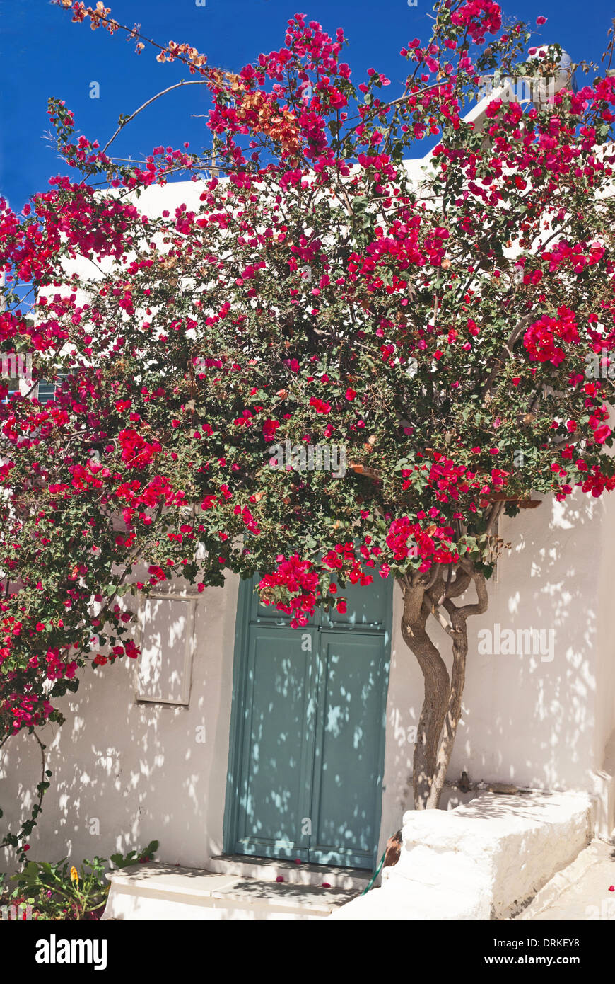 Traditional greek alley on Sifnos island, Greece Stock Photo - Alamy