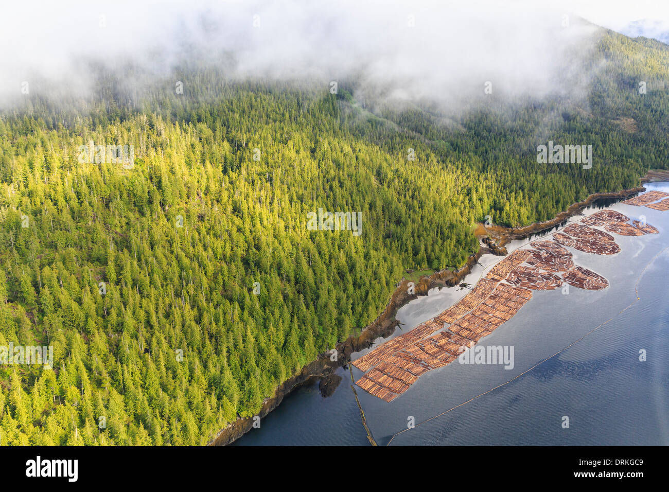 Canada, British Columbia, Prince Rupert, wood industry, wood at the ...