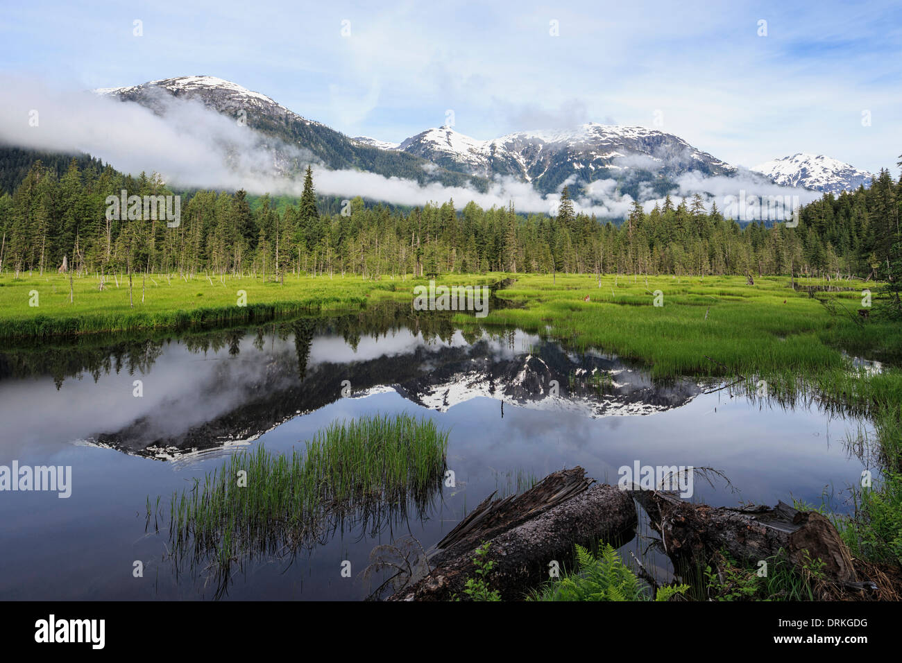 USA, Alaska, Hyder, Stewart, River landscape at Fish Creek Stock Photo ...