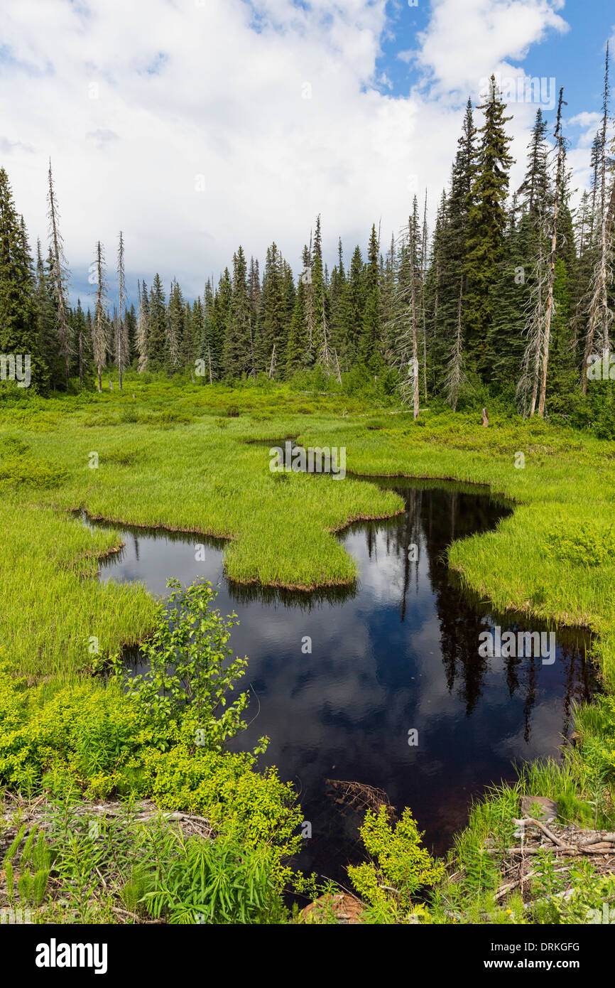British river landscape hi-res stock photography and images - Alamy