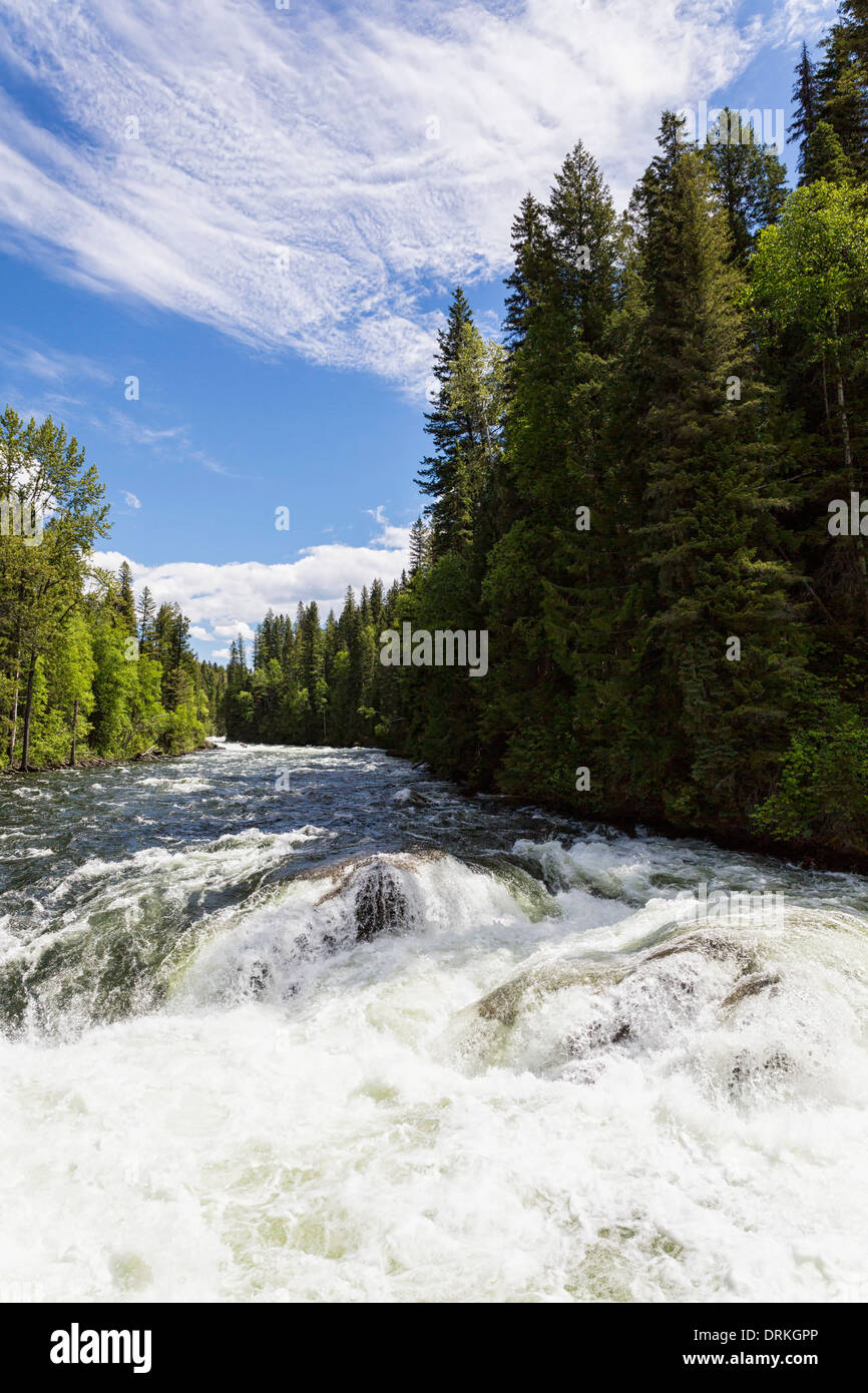 Canada, British Columbia, Wells Gray Provincial Park, Murtle River ...