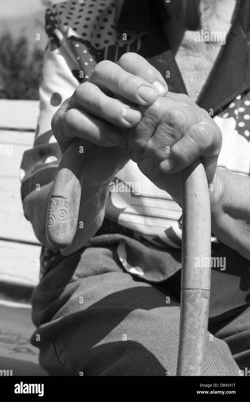 hands of old woman with stick Stock Photo - Alamy