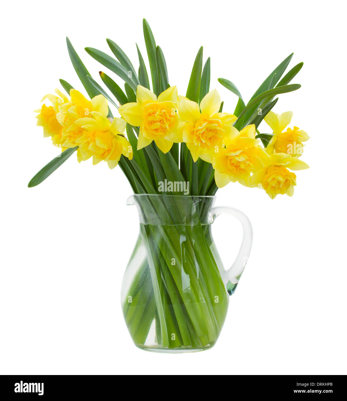 bunch of daffodils Stock Photo - Alamy