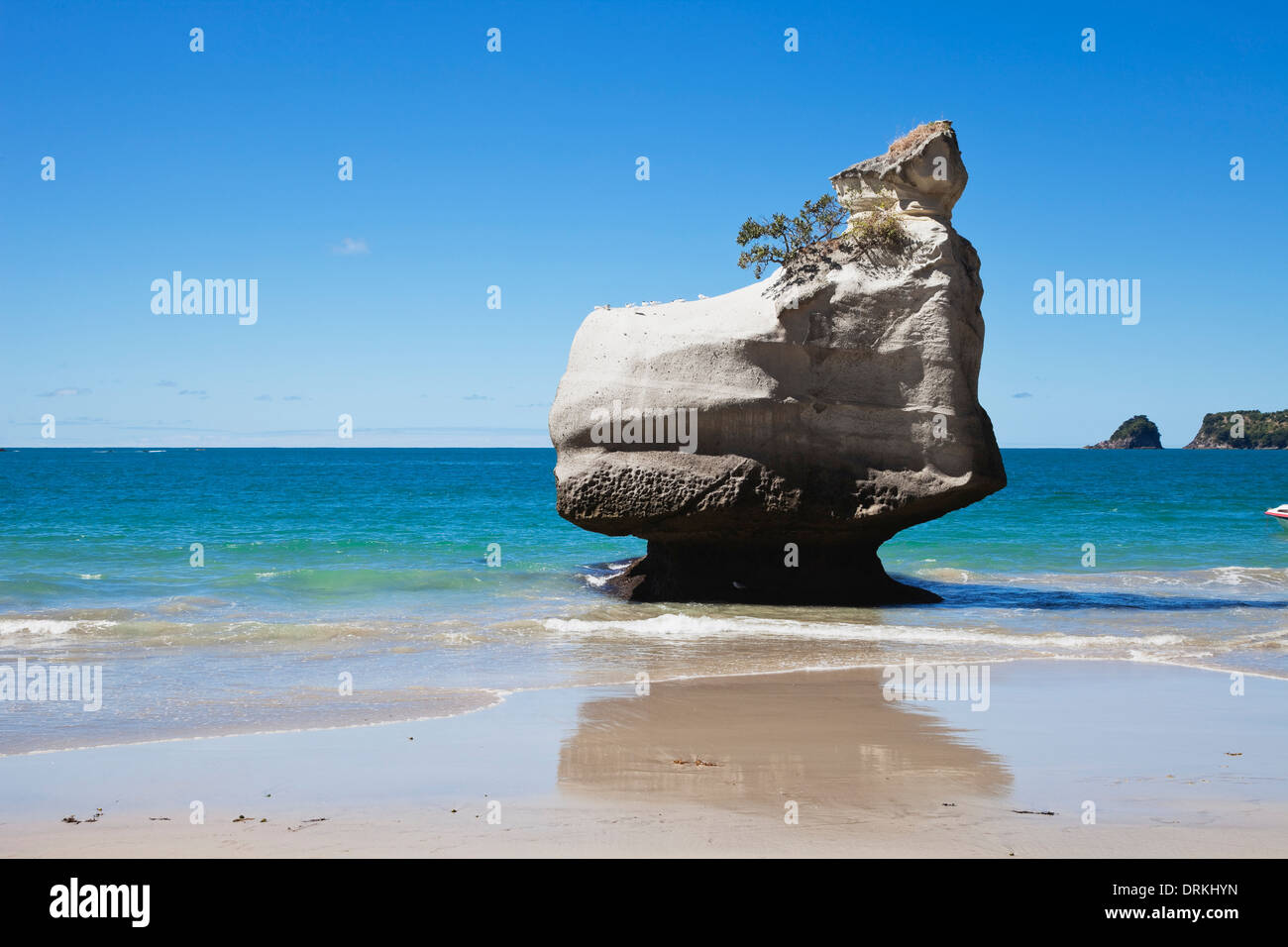 New Zealand, Coromandel Peninsula, Cathedral Cove, rock at beach Stock ...