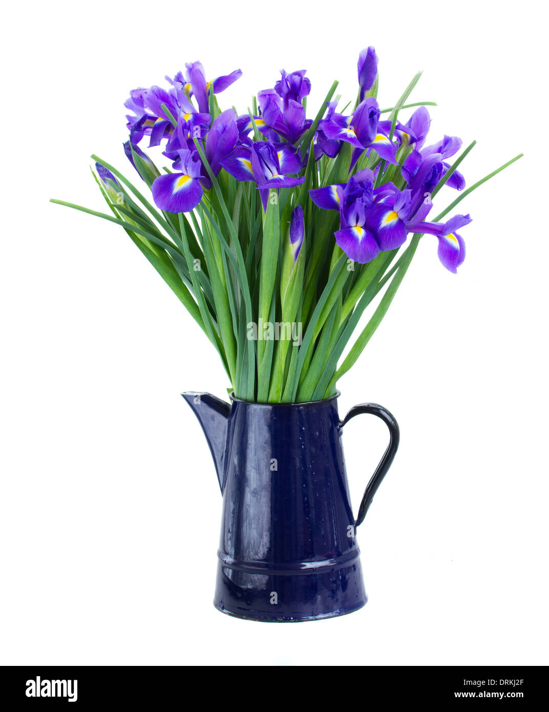 Iris flower in garden Cut Out Stock Images & Pictures - Alamy