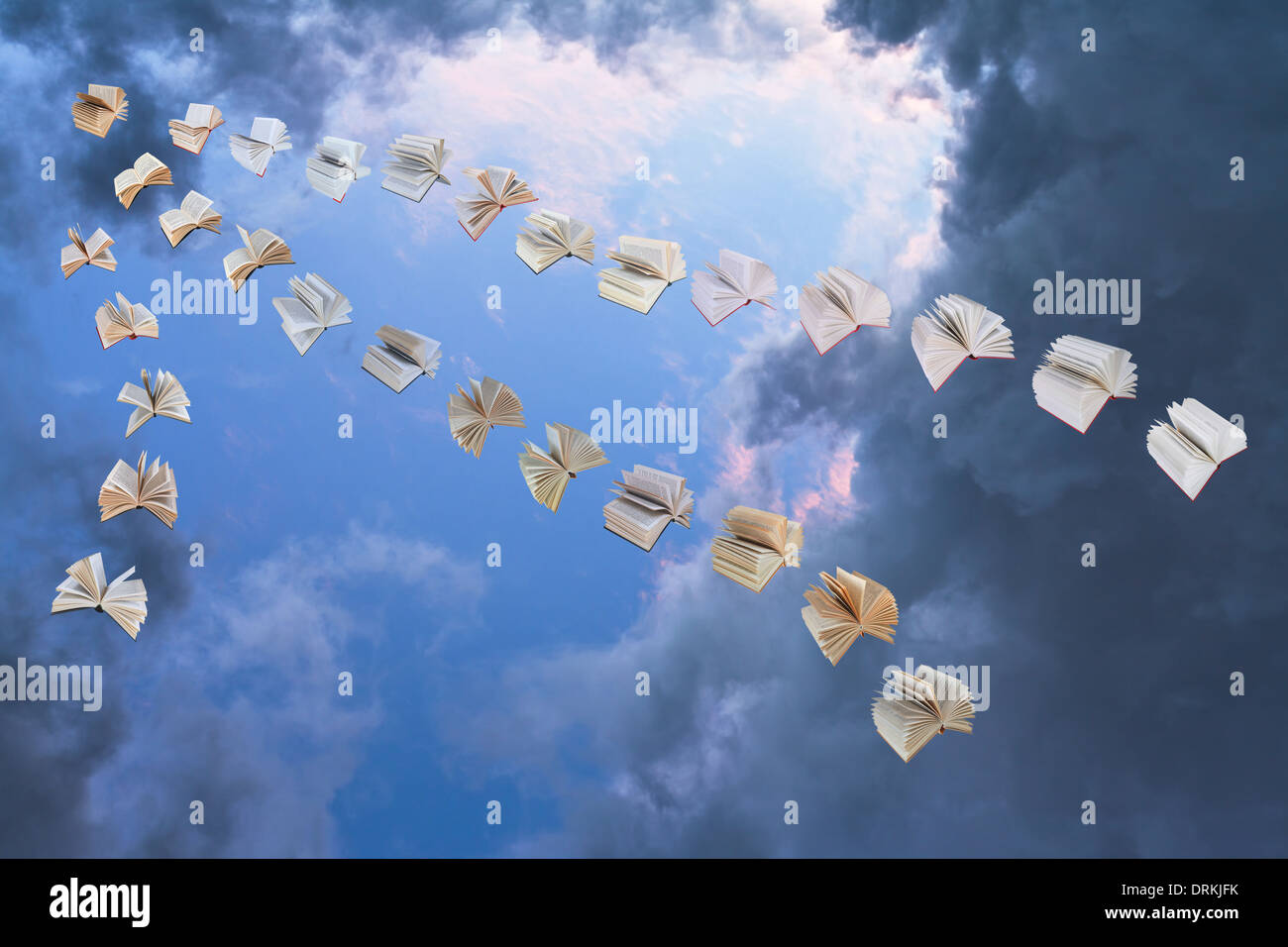 flock of flying books with evening sky with grey clouds background ...