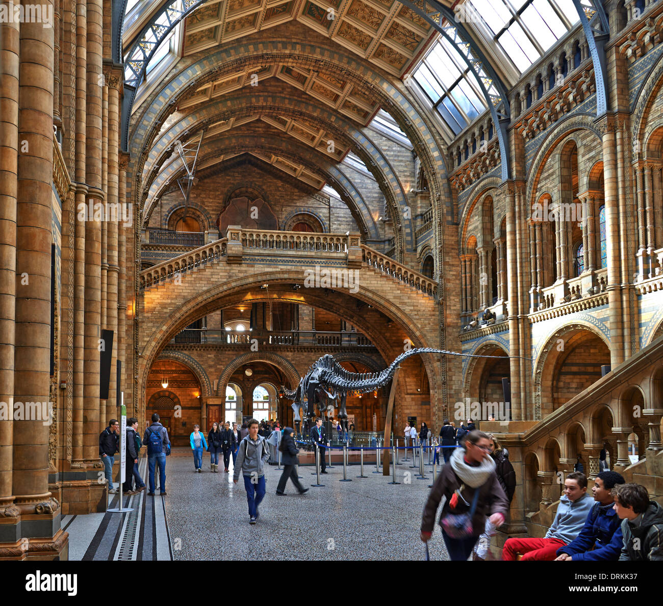 The Natural History Museum is one of three large museums on Exhibition ...
