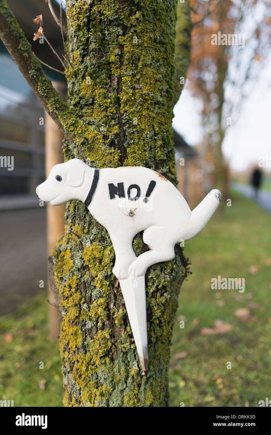 Prohibition sign for dog owners at tree trunk Stock Photo - Alamy