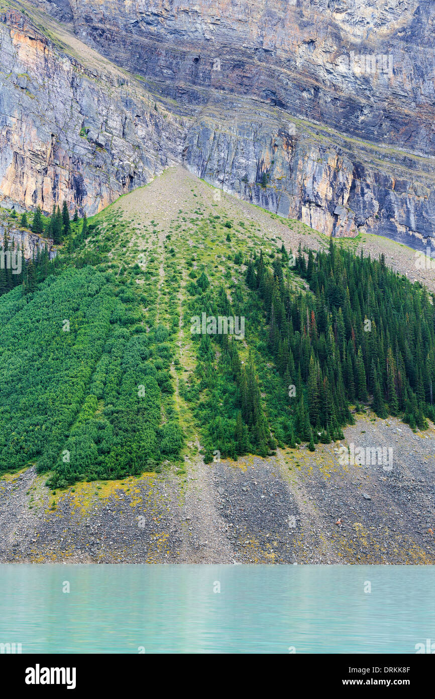 Rock slide trees hi-res stock photography and images - Alamy