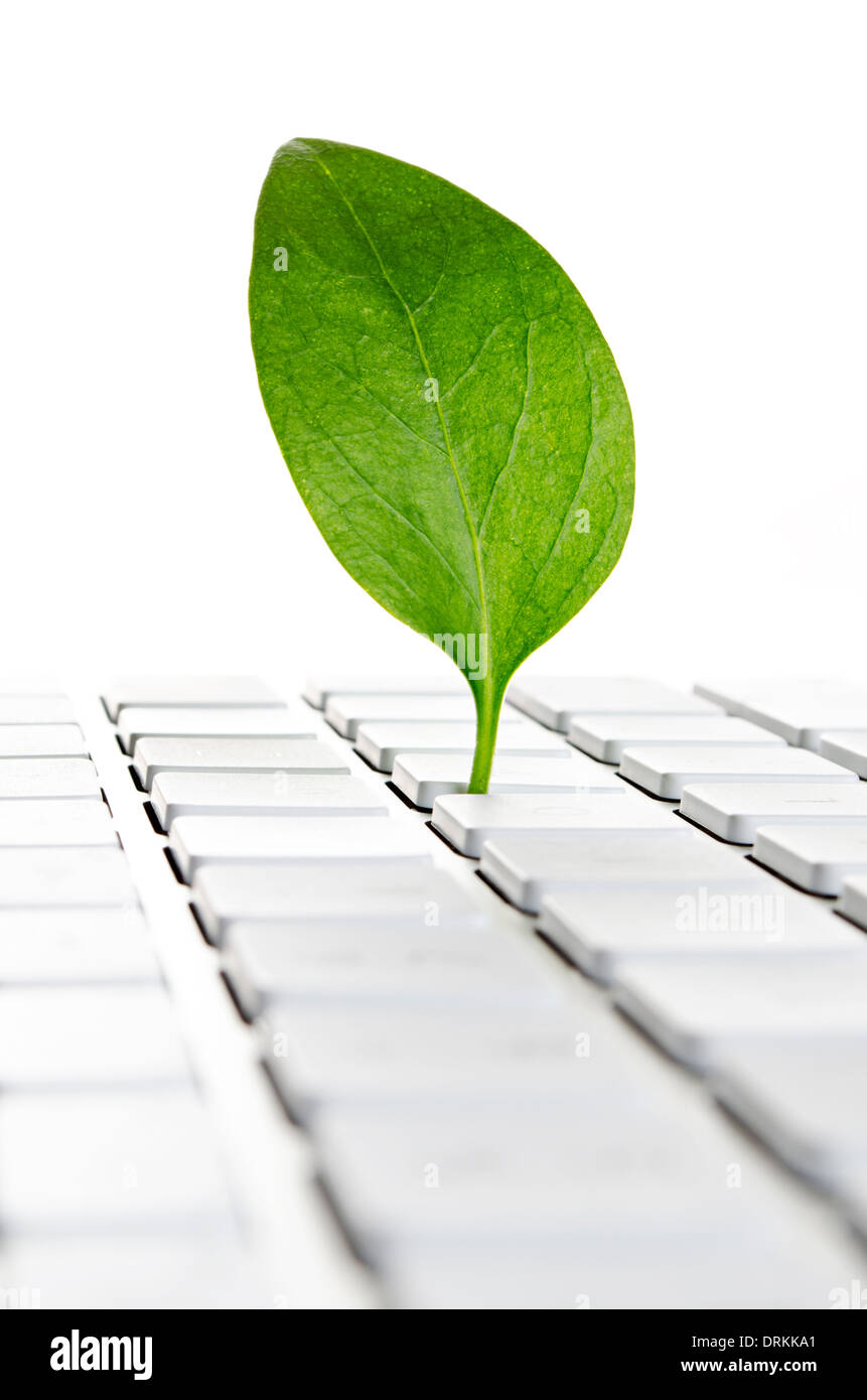 Keyboard Leaf Symbol at Lucille Stone blog