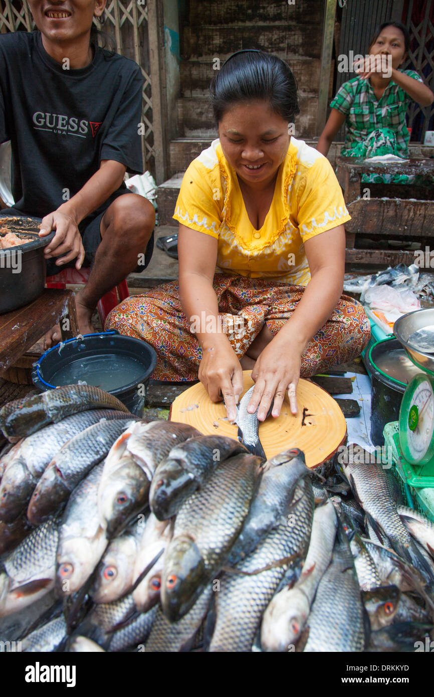 Fish in a market in Yangon, Myanmar Stock Photo - Alamy