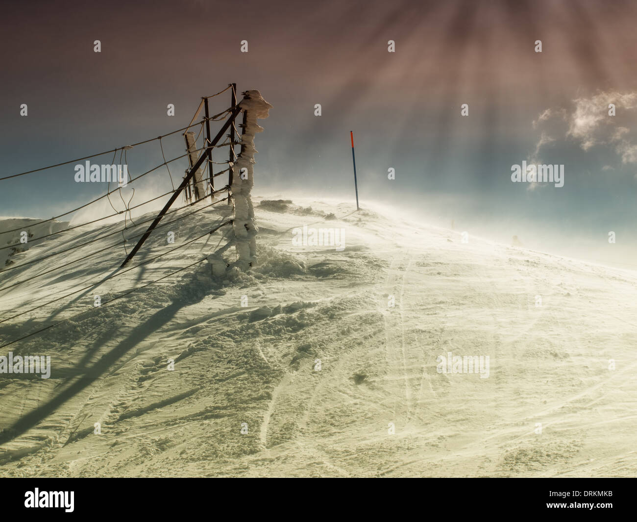 Strong wind winter hi-res stock photography and images - Alamy
