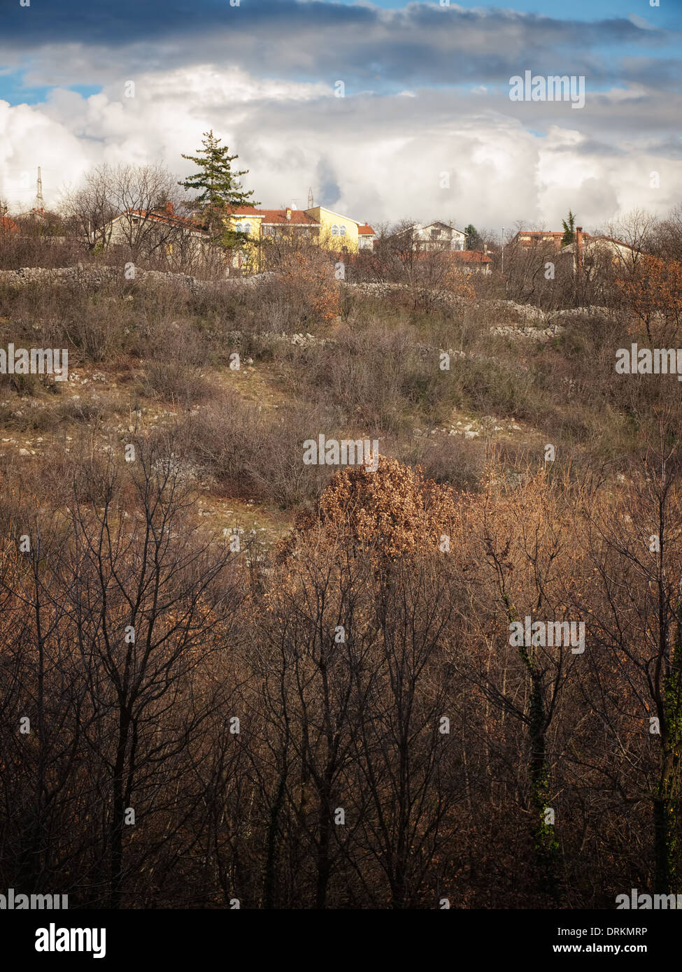 Winter landscape without snow hi-res stock photography and images - Alamy