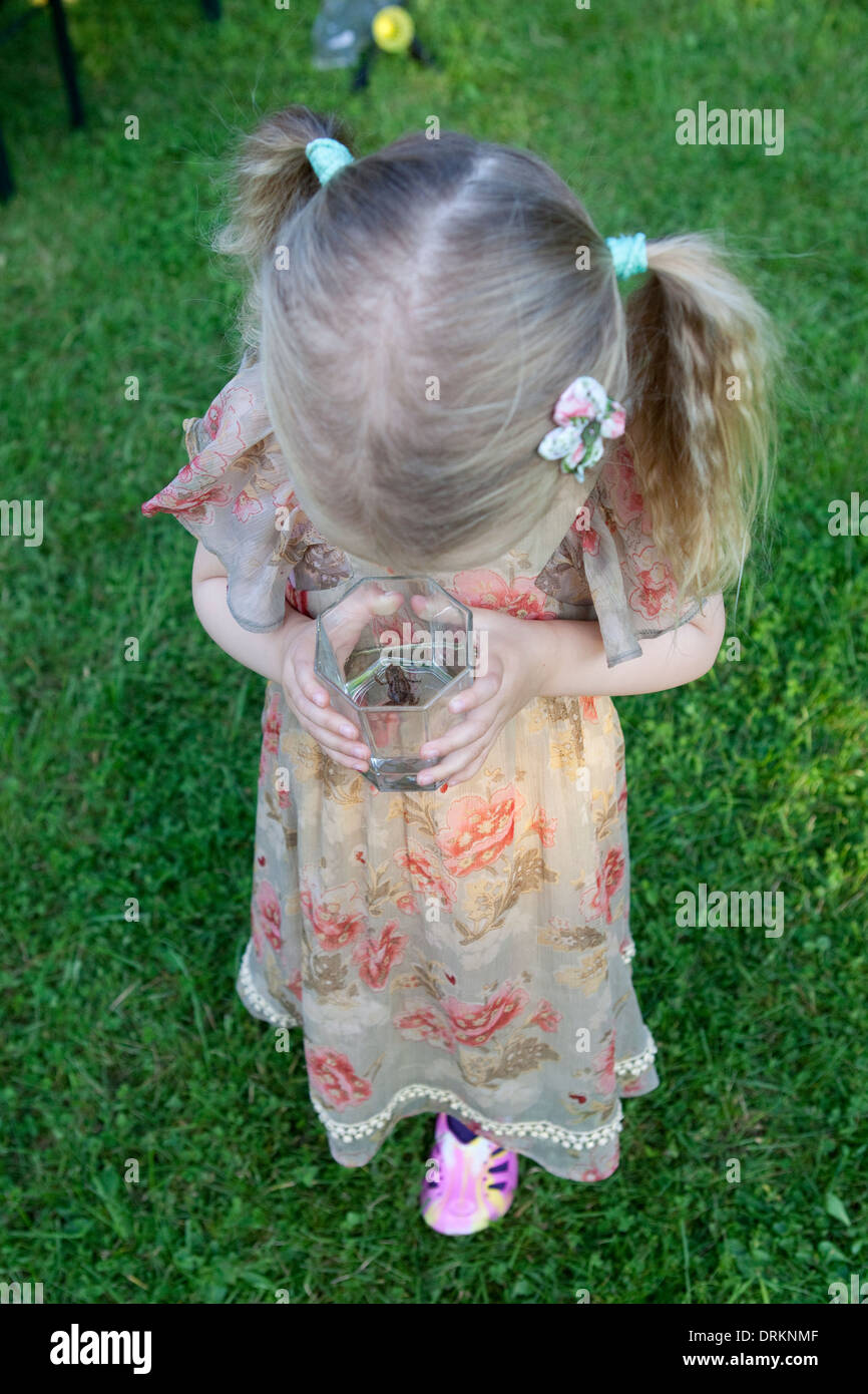 Baby frog hi-res stock photography and images - Alamy