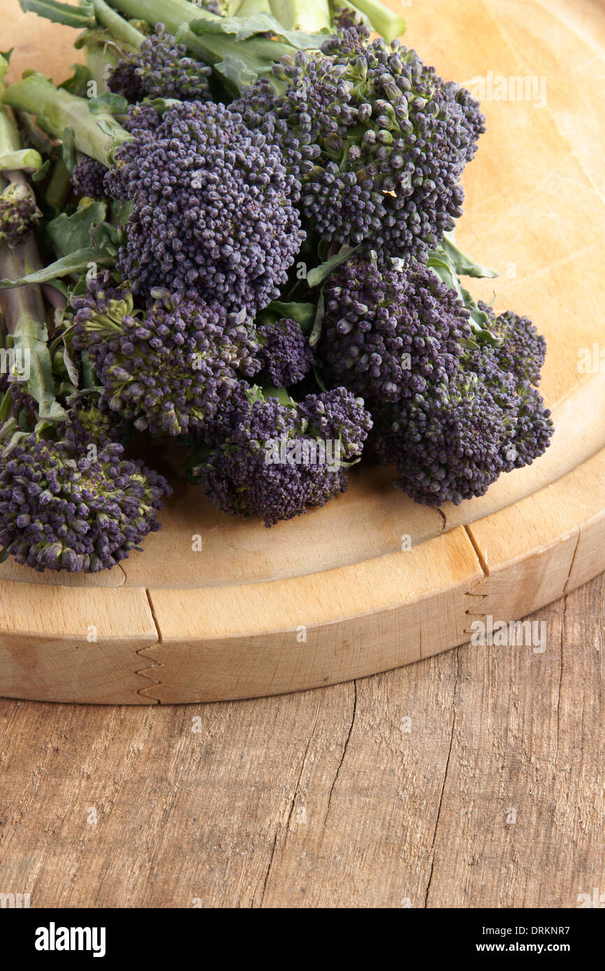 Purple sprouting broccoli a winter vegetable high in nutrients Stock ...