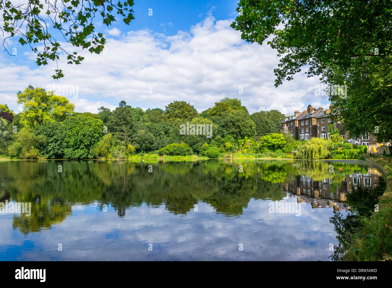 Summer landscape around a small lake in the suburbs of London, UK Stock ...