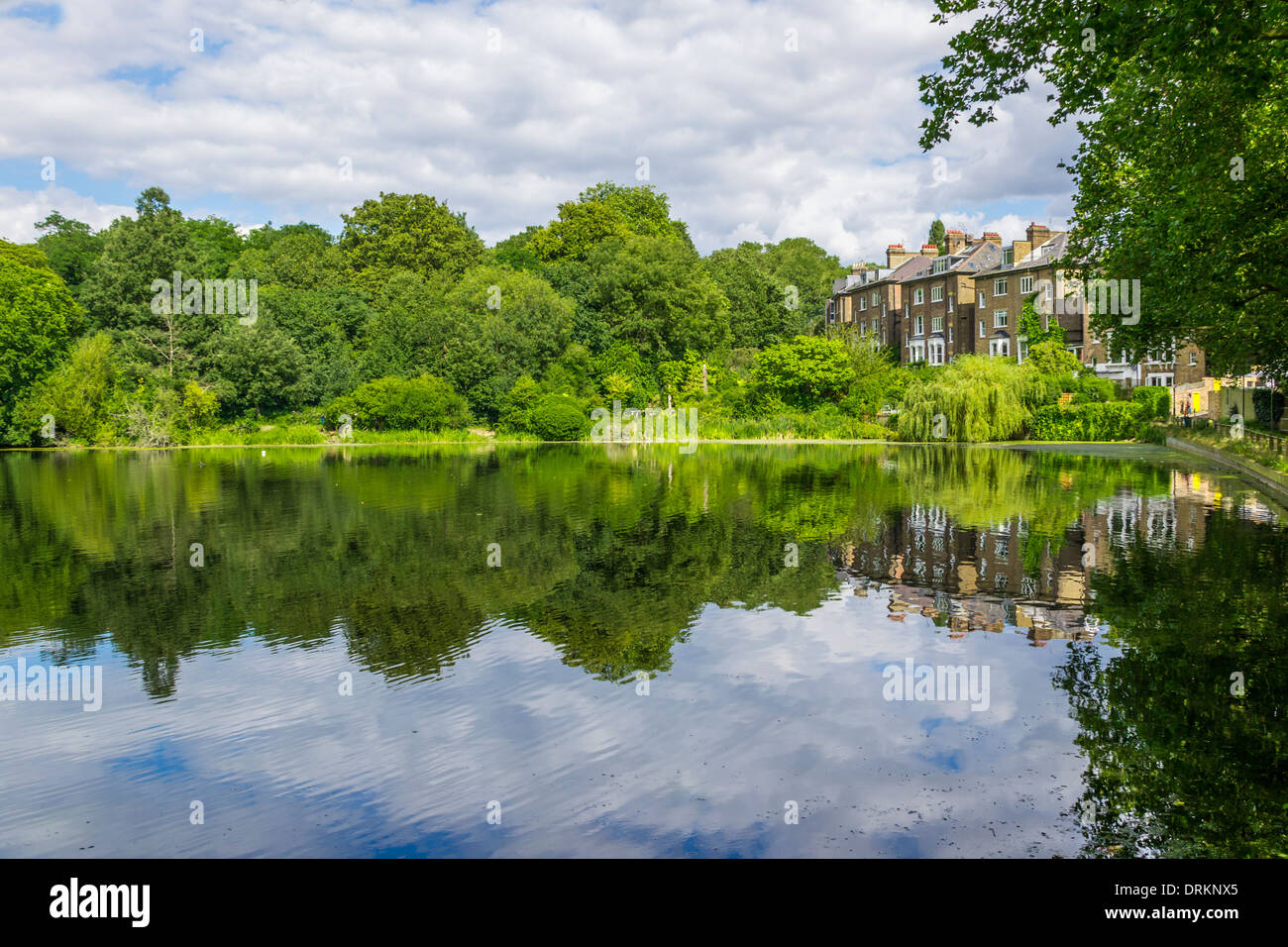 Summer landscape around a small lake in the suburbs of London, UK Stock ...