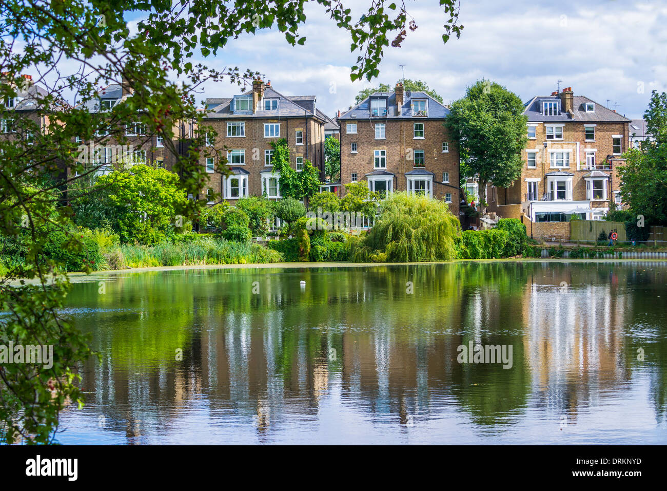 Summer landscape around a small lake in the suburbs of London, UK Stock ...