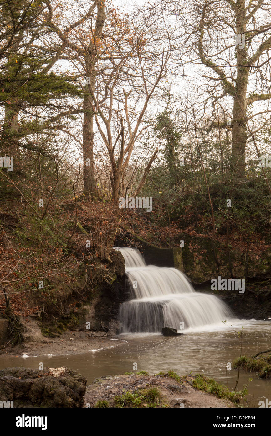 Waterfall in woods Stock Photo - Alamy