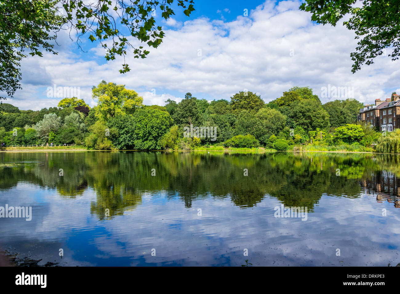 Summer landscape around a small lake in the suburbs of London, UK Stock ...