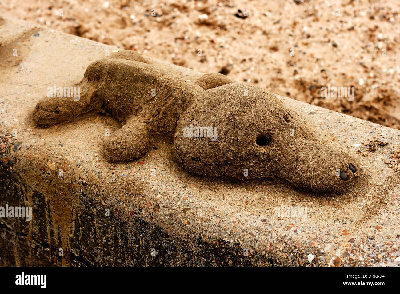 Sand art crocodile hi-res stock photography and images - Alamy