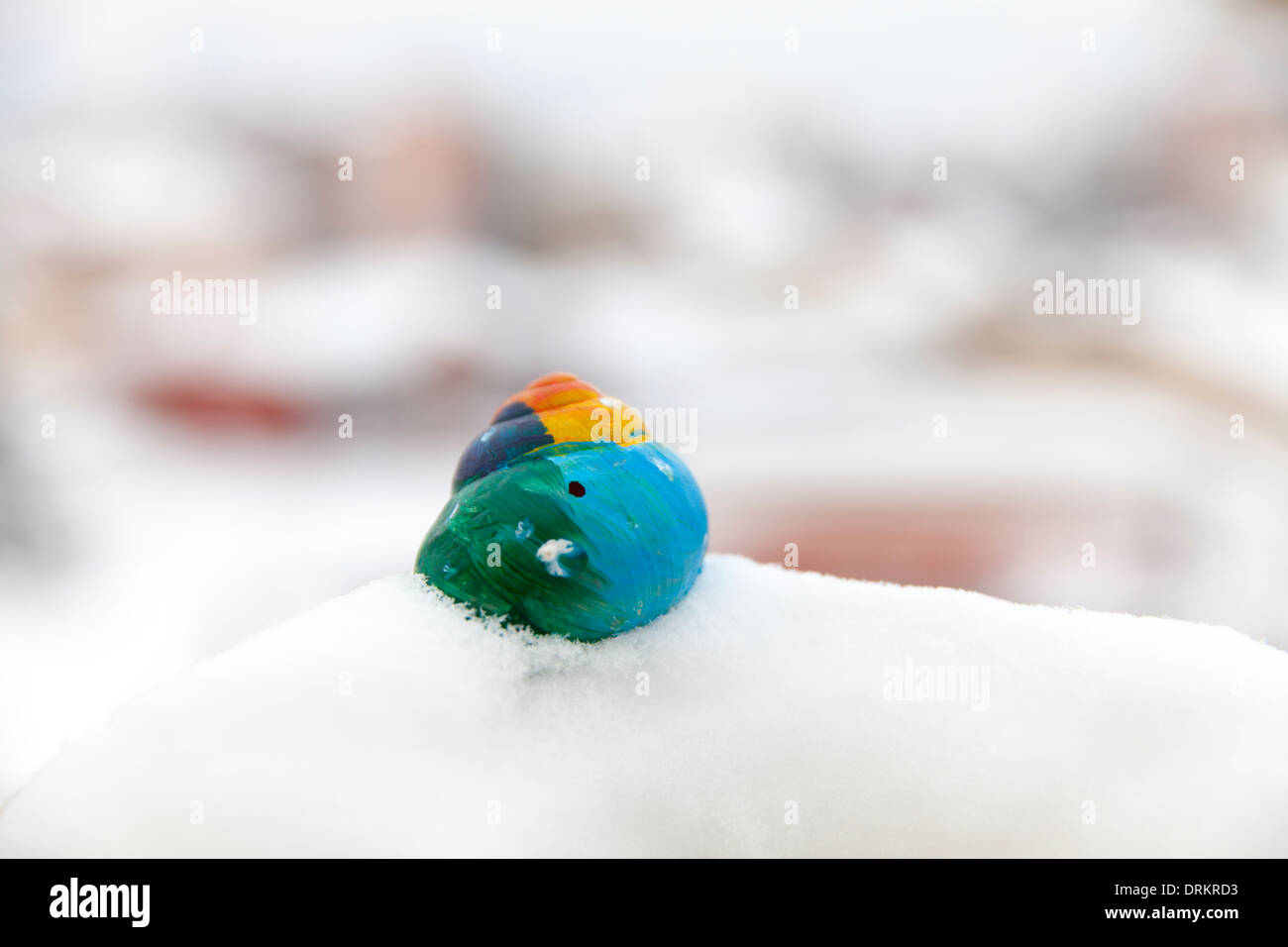 snail shell color in the snow Stock Photo - Alamy