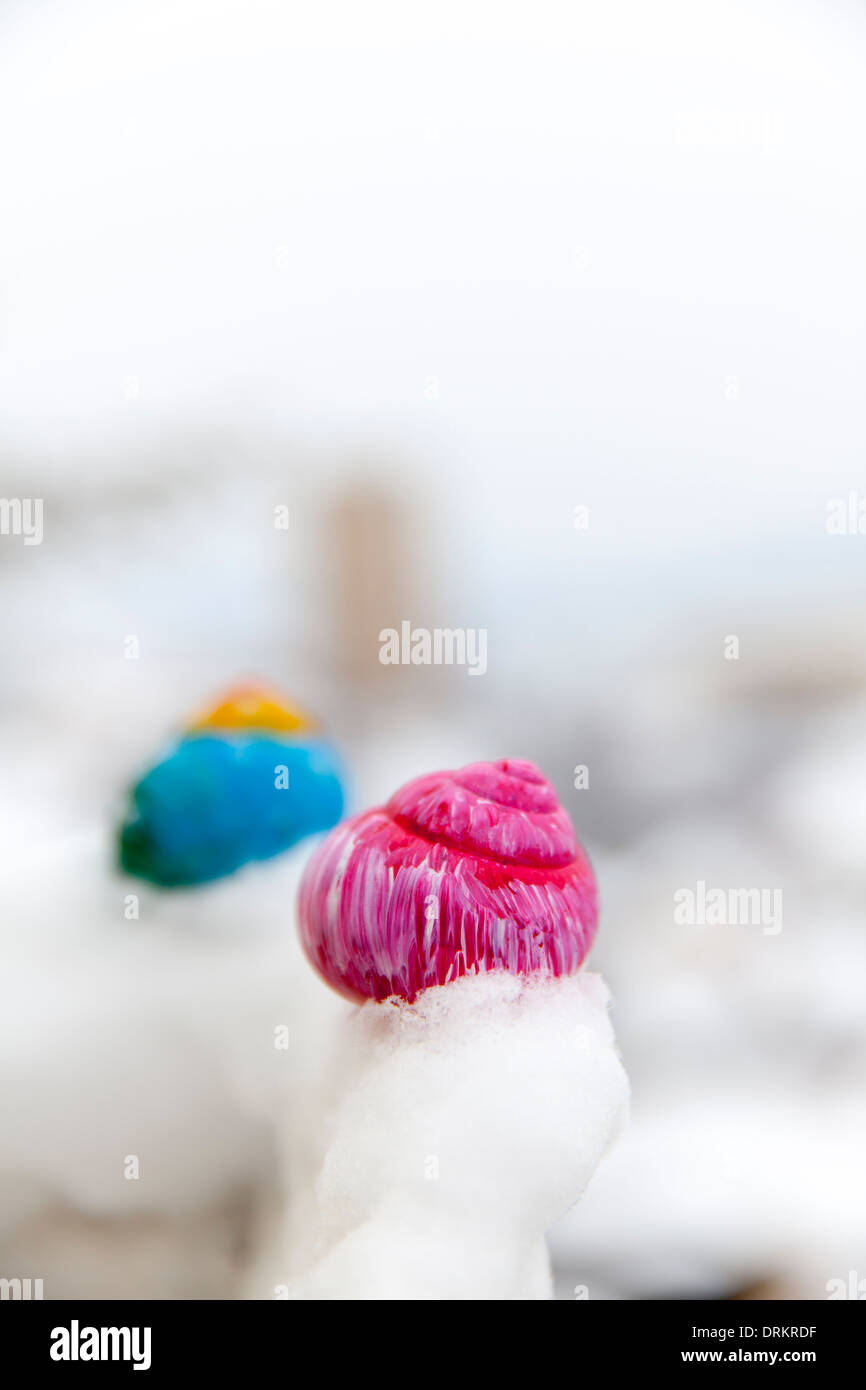snail shell color in the snow Stock Photo - Alamy