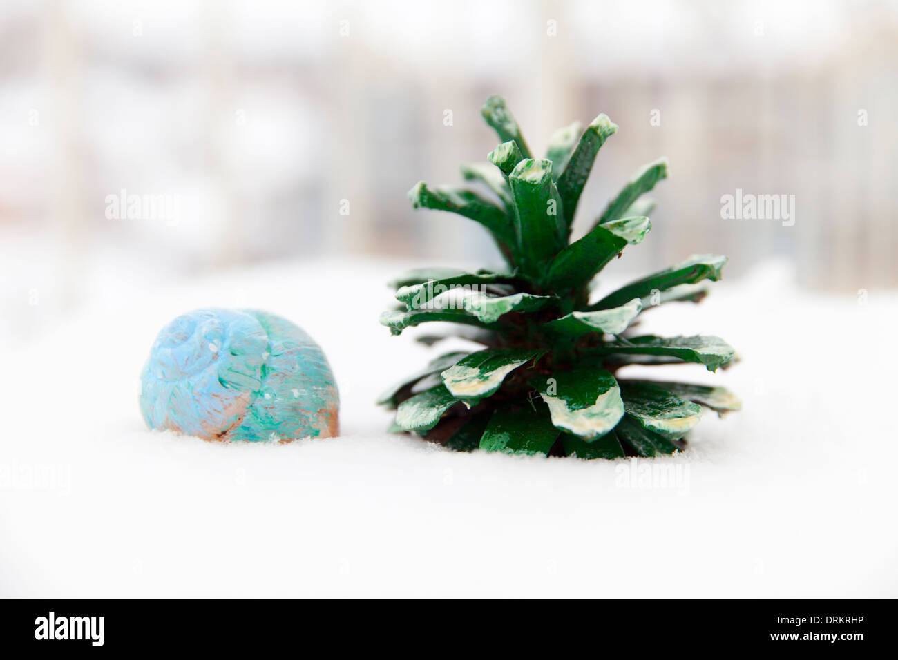 Cone snail shell hi-res stock photography and images - Alamy