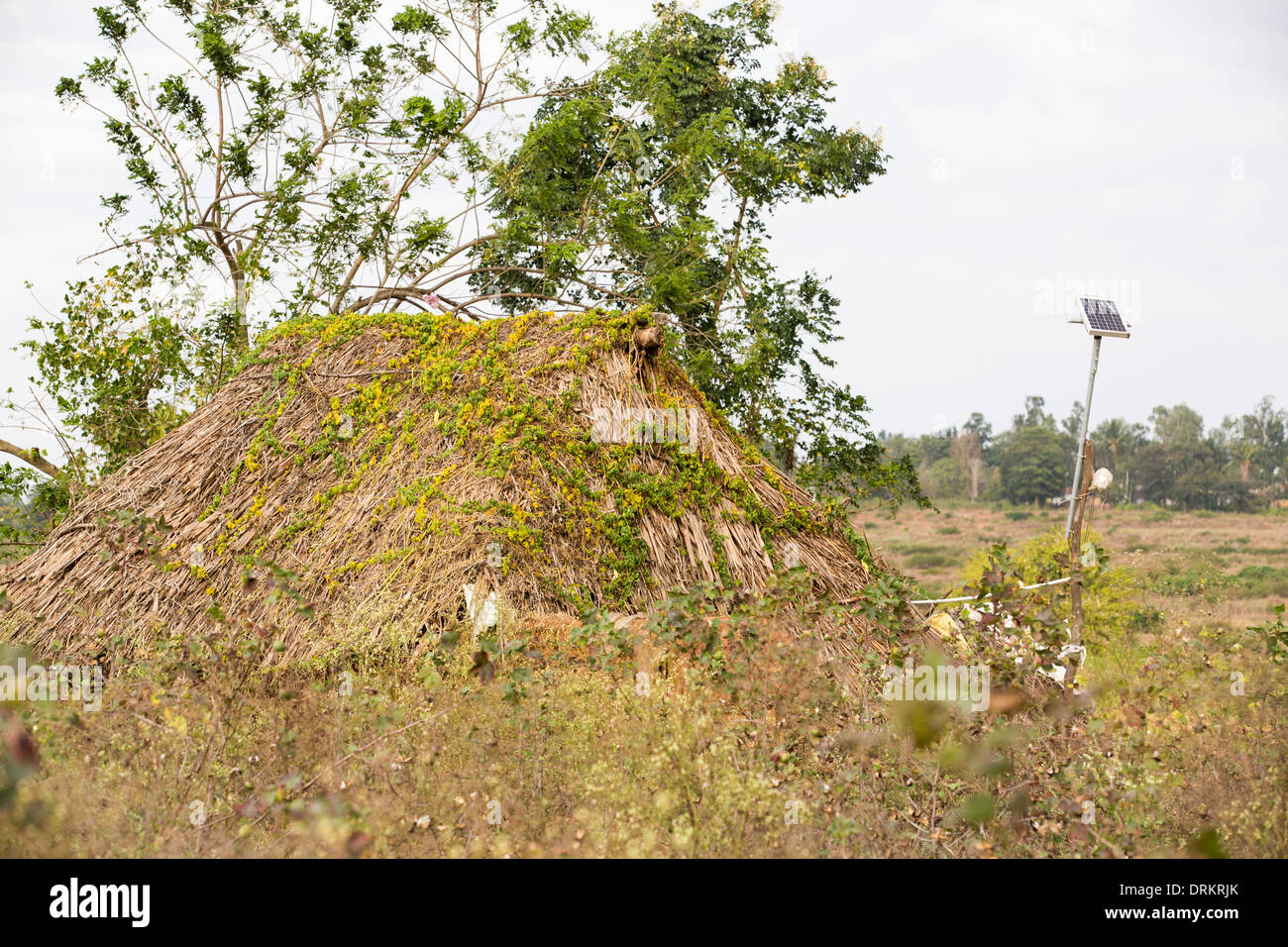 An untouchable familes hut, illuminated by an electric light, powered ...