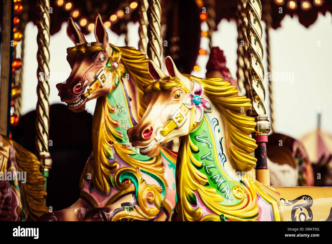Gallopers hi-res stock photography and images - Alamy