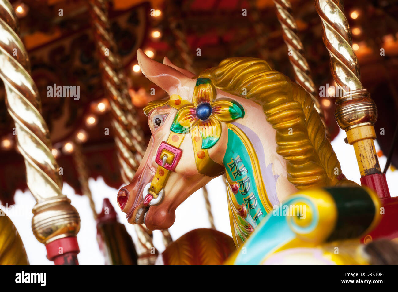 Golden gallopers hi-res stock photography and images - Alamy