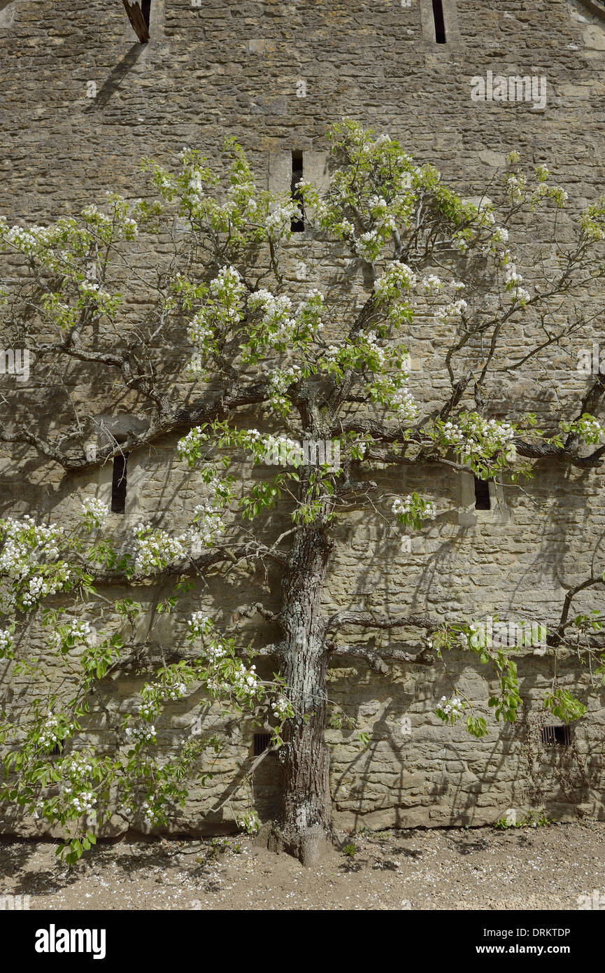 Esplanaded hi-res stock photography and images - Alamy