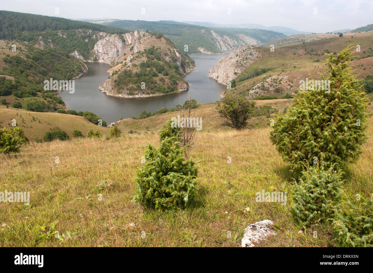 Meander of Uvac River, Serbia Stock Photo - Alamy